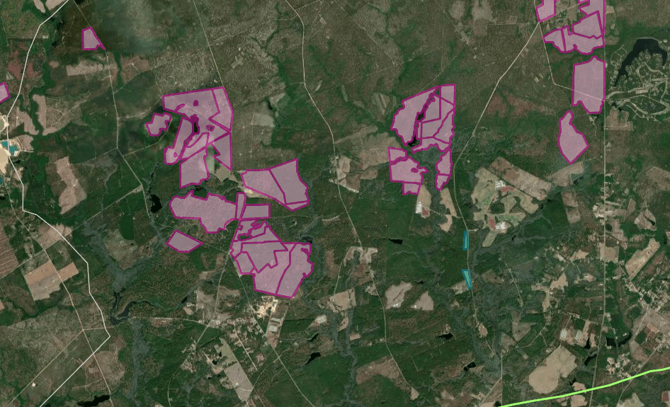 LEO – The Longleaf Alliance