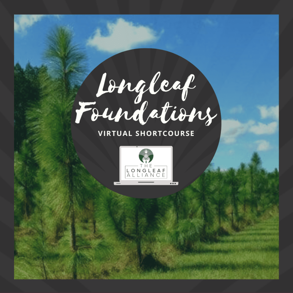 Virtual Longleaf Foundations Shortcourse – The Longleaf Alliance