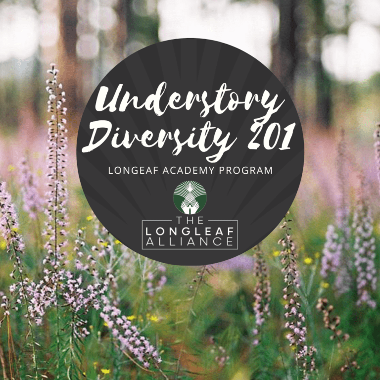 Understory Diversity Academy – The Longleaf Alliance