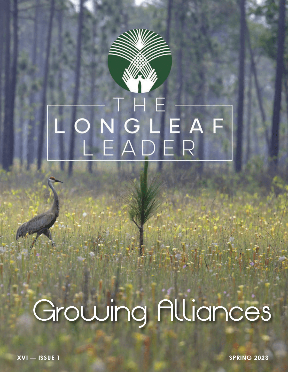 The Longleaf Leader – The Longleaf Alliance