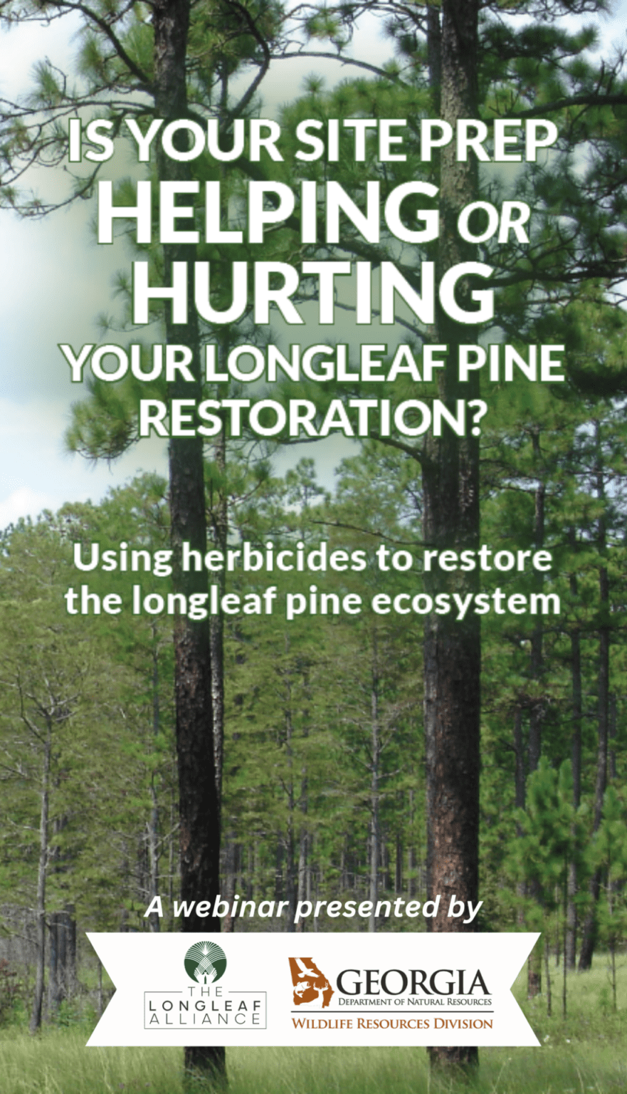 Webinar: Is your site prep helping or hurting your longleaf pine restoration? – The Longleaf ...