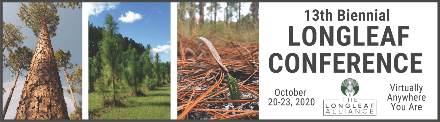 Biennial Longleaf Conference – The Longleaf Alliance