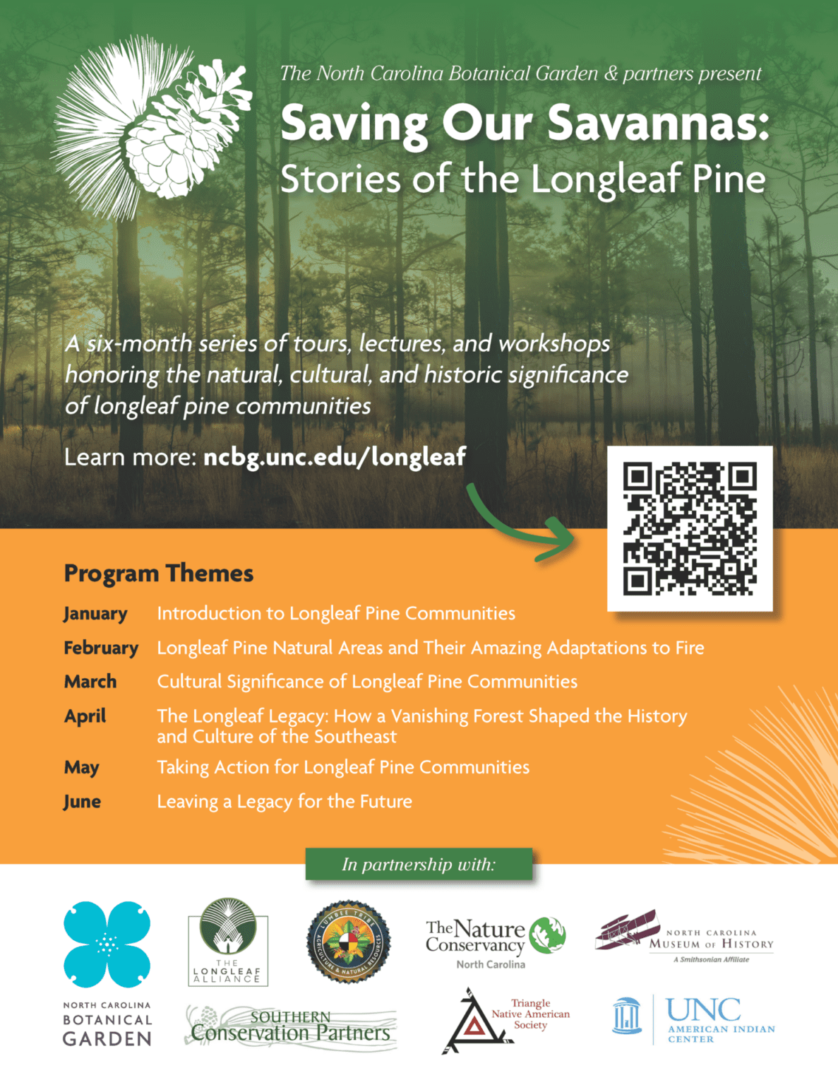 Saving Our Savannas – Stories from the Longleaf Pine – The Longleaf Alliance