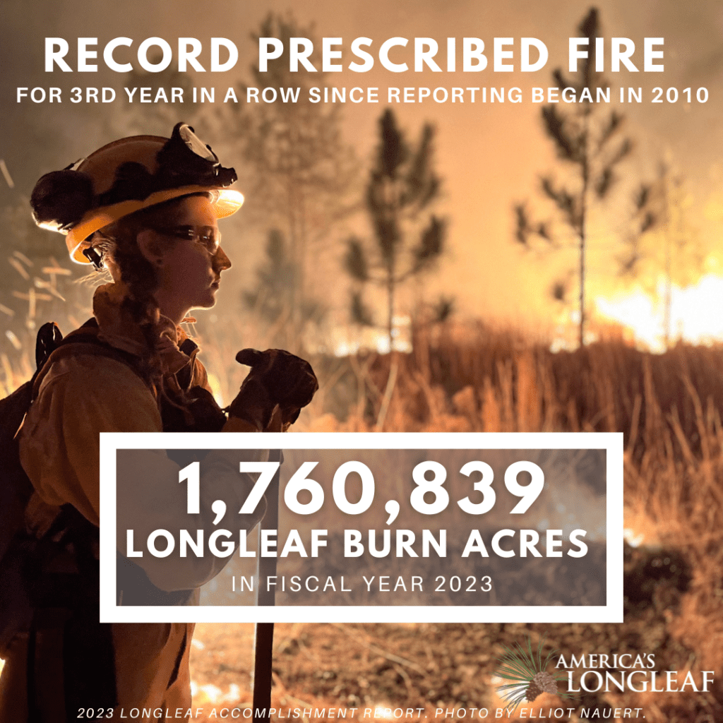 Longleaf Partners Set Prescribed Fire Record in 2023 – The Longleaf Alliance