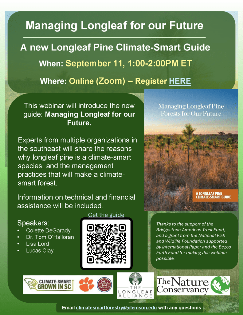 WEBINAR: Managing Longleaf for our Future – The Longleaf Alliance