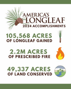 America’s Longleaf Celebrates 2 Million Acres Restored and 20 Million ...