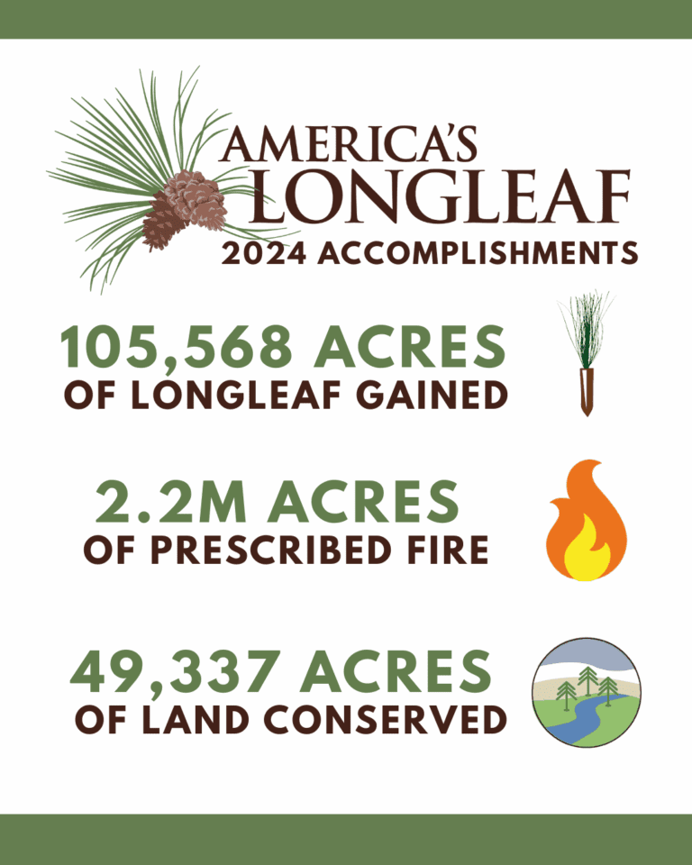 America’s Longleaf Celebrates 2 Million Acres Restored and 20 Million ...